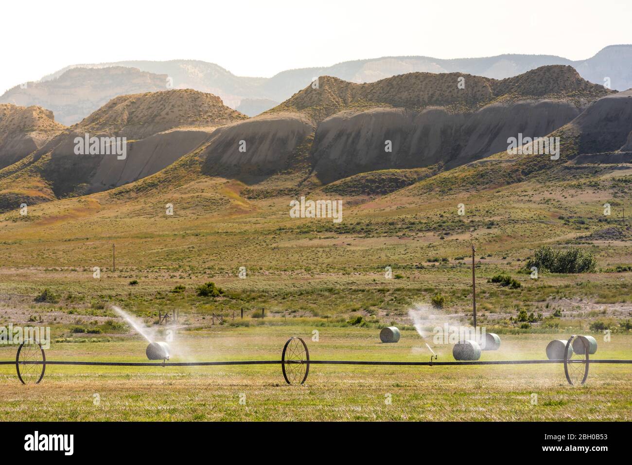 Irrigated pasture hi-res stock photography and images - Alamy