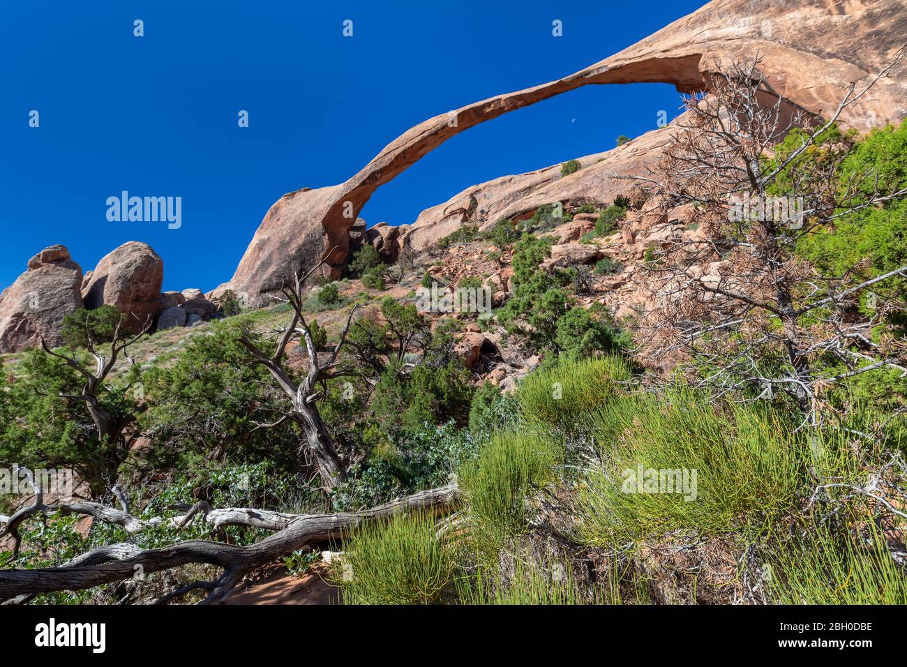 Thin arch hi-res stock photography and images - Alamy