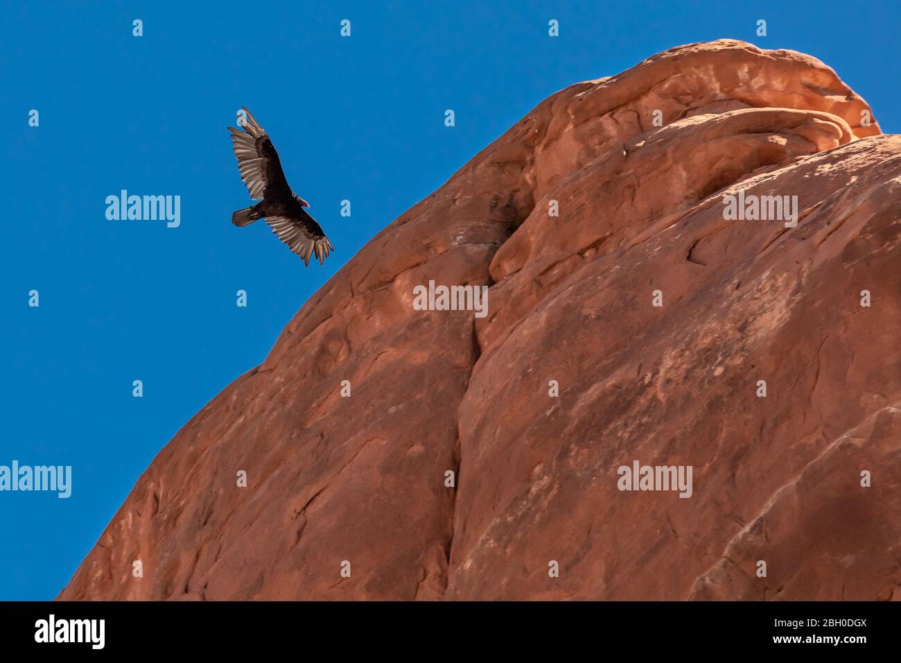 Flying arches hi-res stock photography and images - Alamy