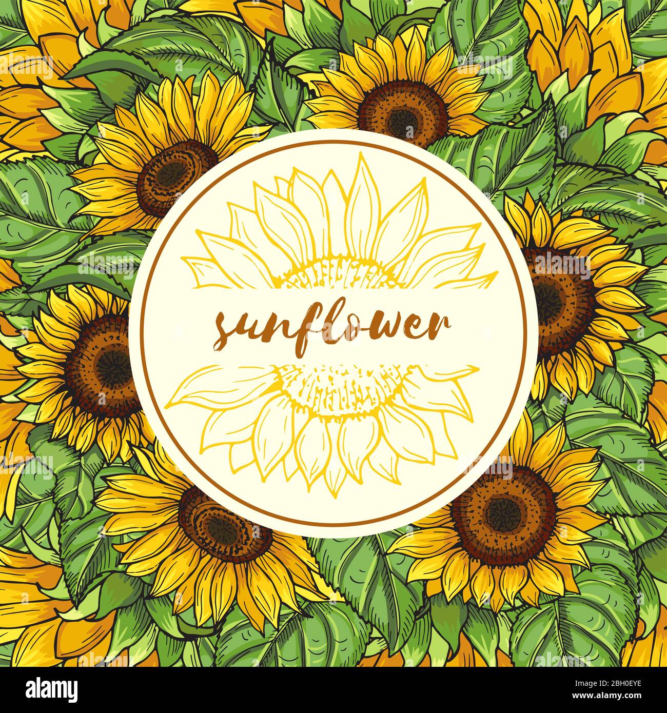 Background illustration with sunflowers and place for your text ...