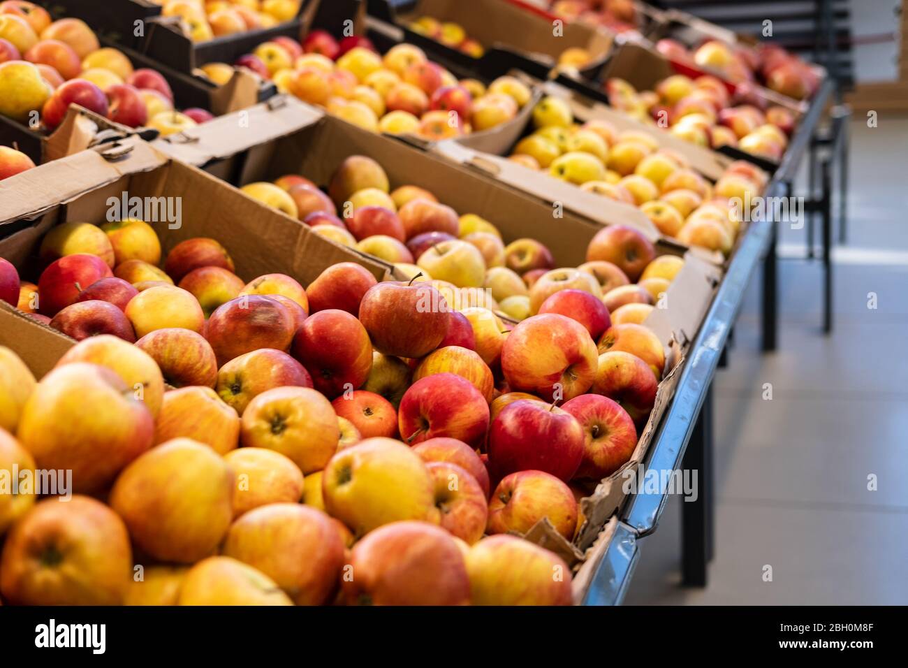 Apples on counter hi-res stock photography and images - Alamy
