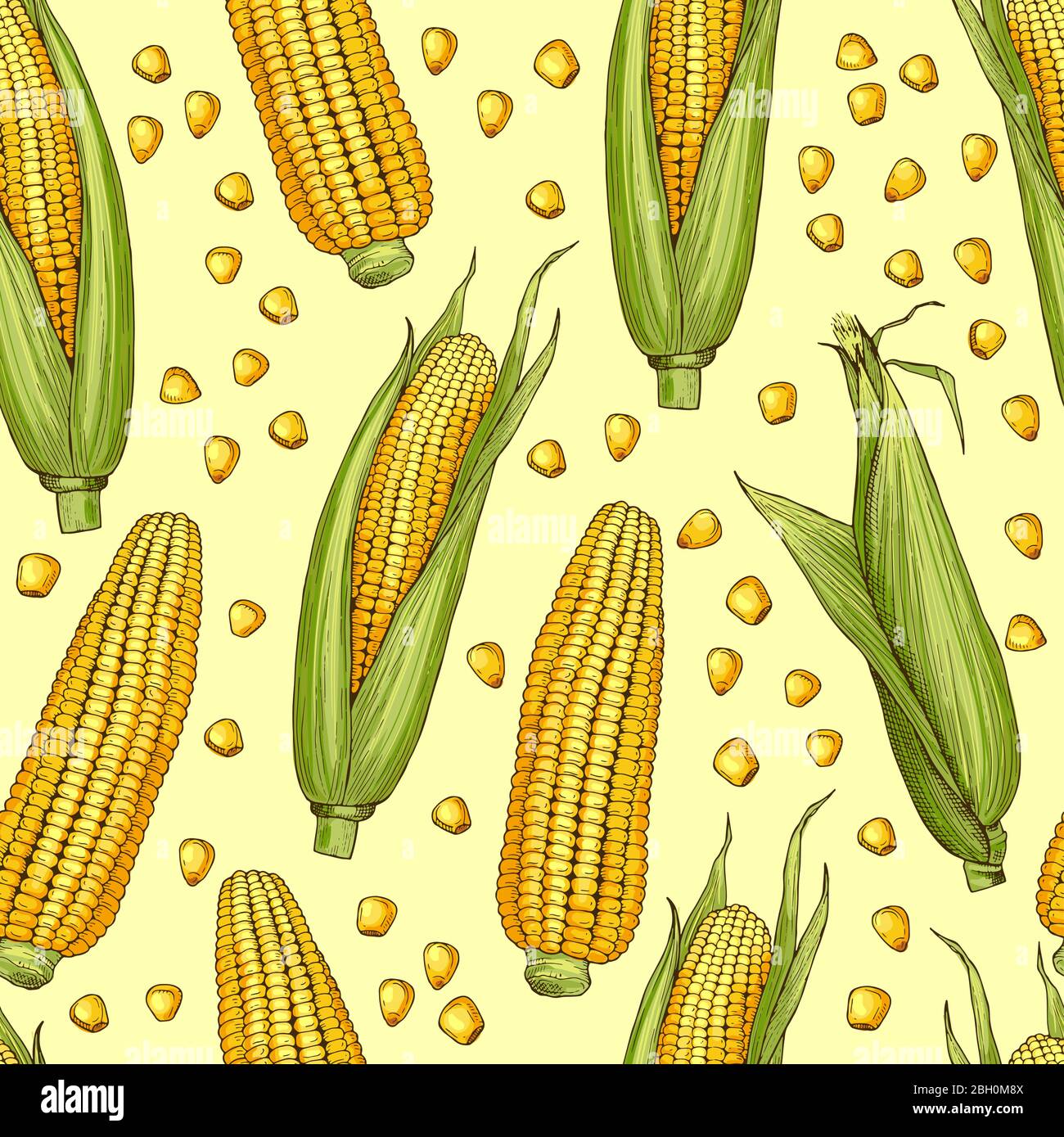 Vector seamless patterns with illustration of corn. Vegetable pattern ...