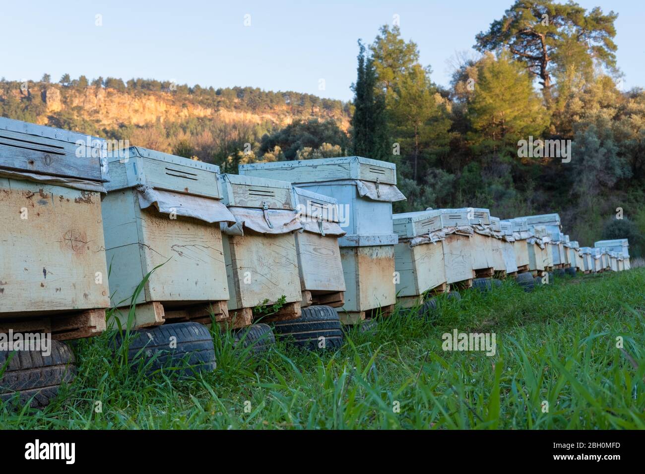 Beehive garden hi-res stock photography and images - Alamy
