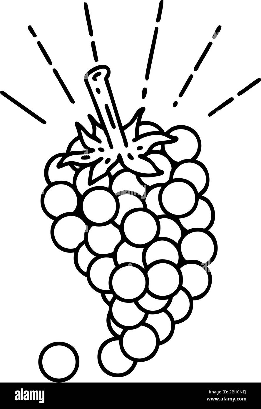 Linework fruit hi-res stock photography and images - Alamy