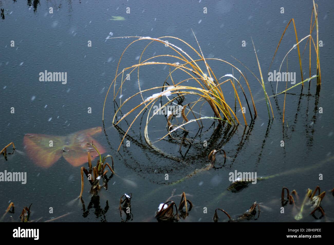 Slush on water in Finnish Lapland Stock Photo - Alamy