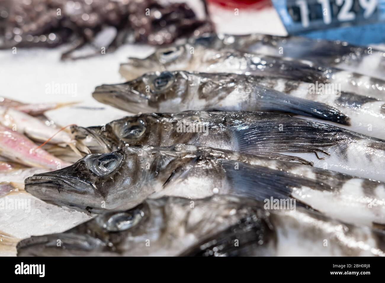 Refrigerated fish hi-res stock photography and images - Alamy