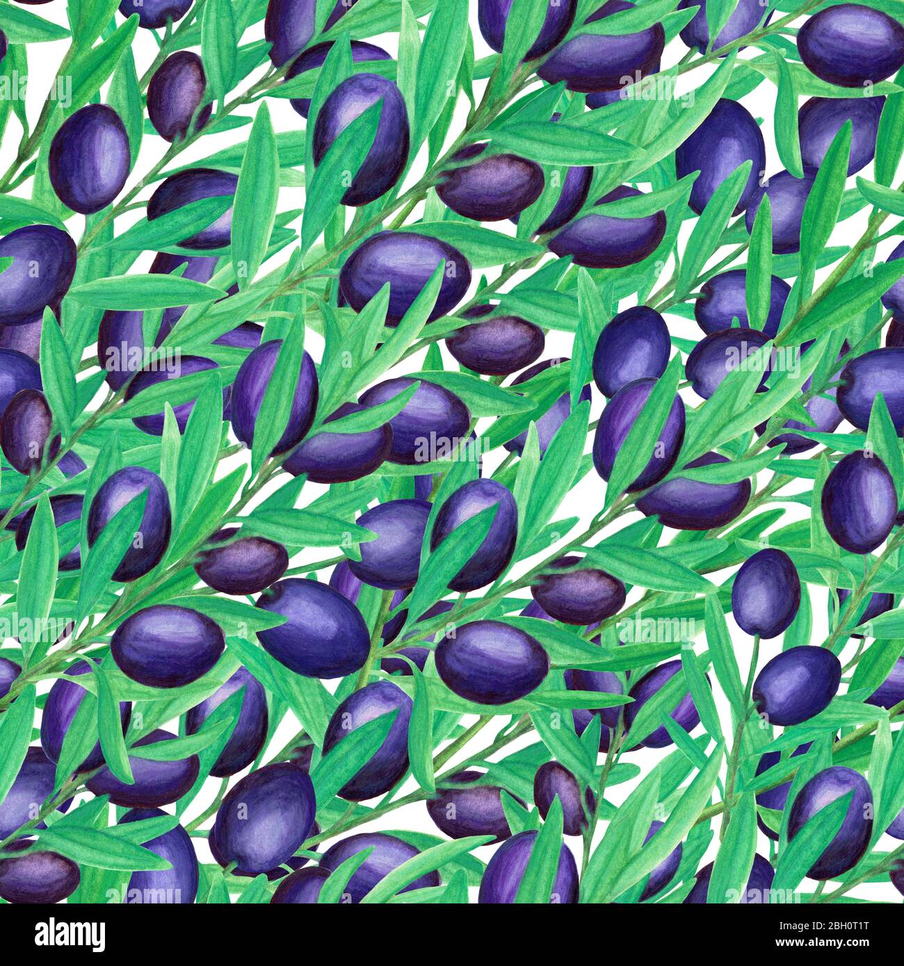 Seamless olive pattern, watercolour illustration Stock Photo - Alamy