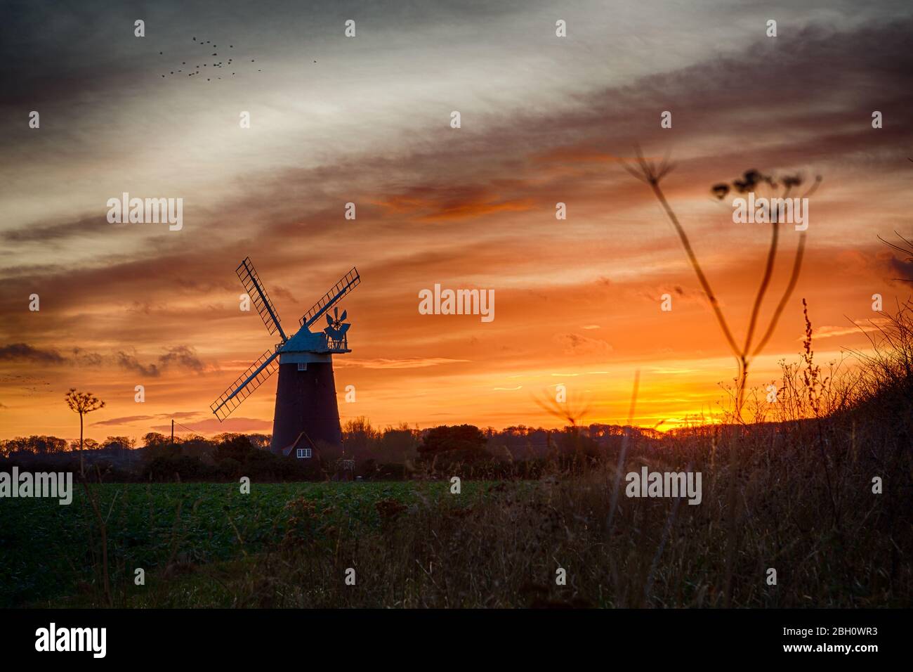 Blakeney windmill hi-res stock photography and images - Alamy