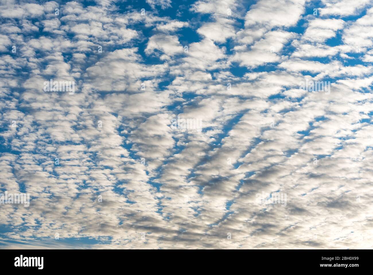 Altocumulus