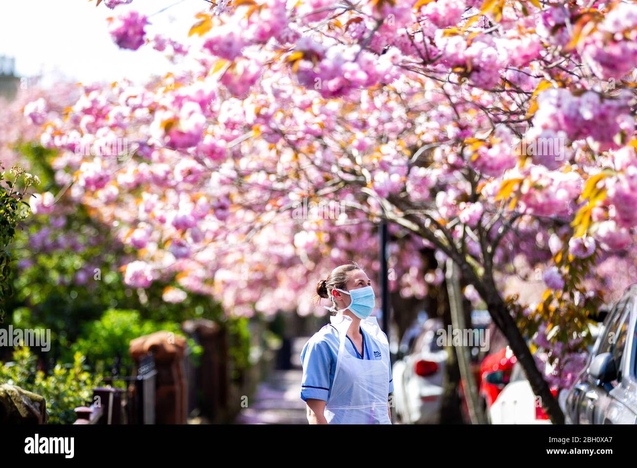 Nhs nurse hi-res stock photography and images - Alamy