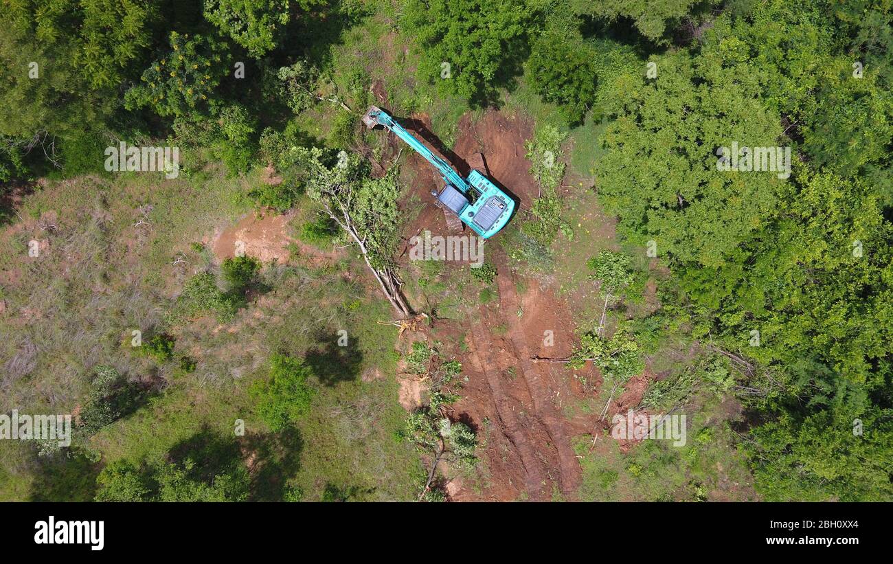 The top view of human deforestation Stock Photo - Alamy