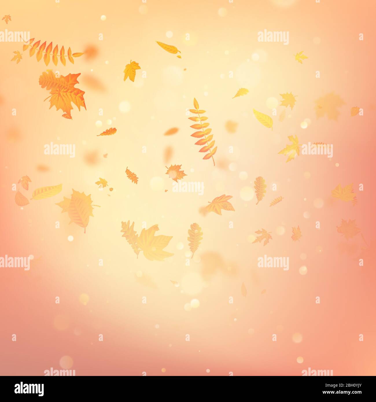 Autumn background with leaves. Back to school template. EPS 10 Stock ...