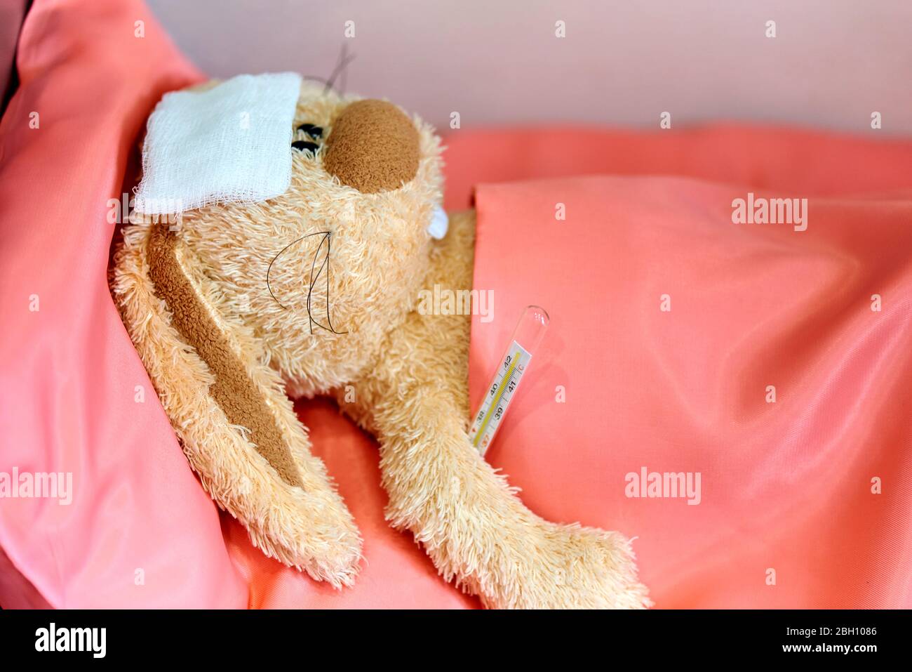 A sick stuffed rabbit measures the temperature in bed Stock Photo - Alamy