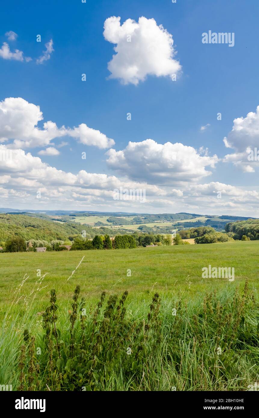Idyllic rural landscape with green field, blue sky and clouds in the ...