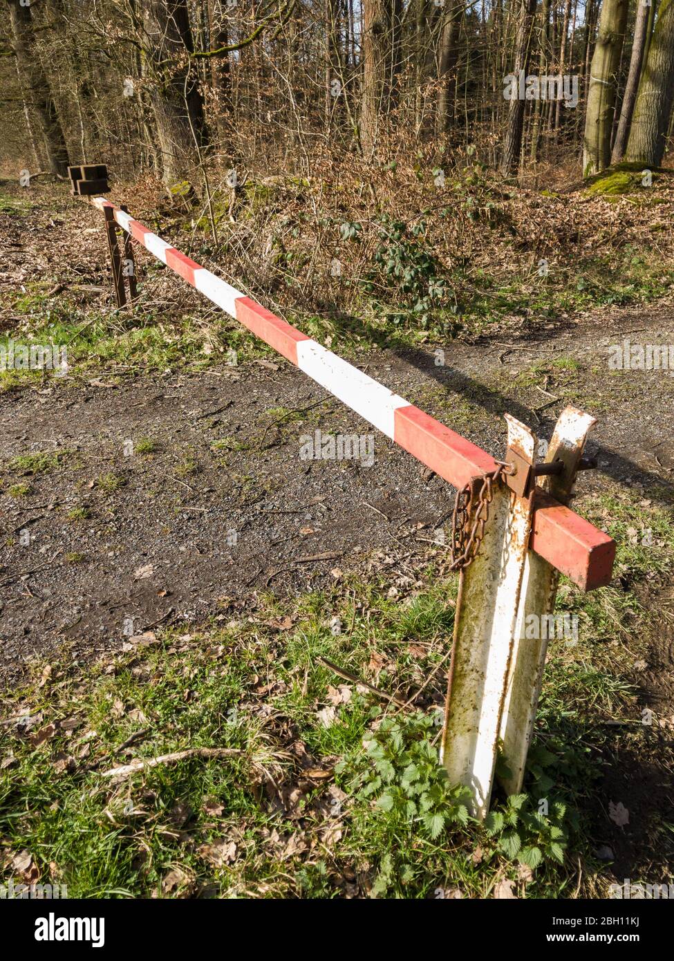 Westerwald forest hi-res stock photography and images - Alamy