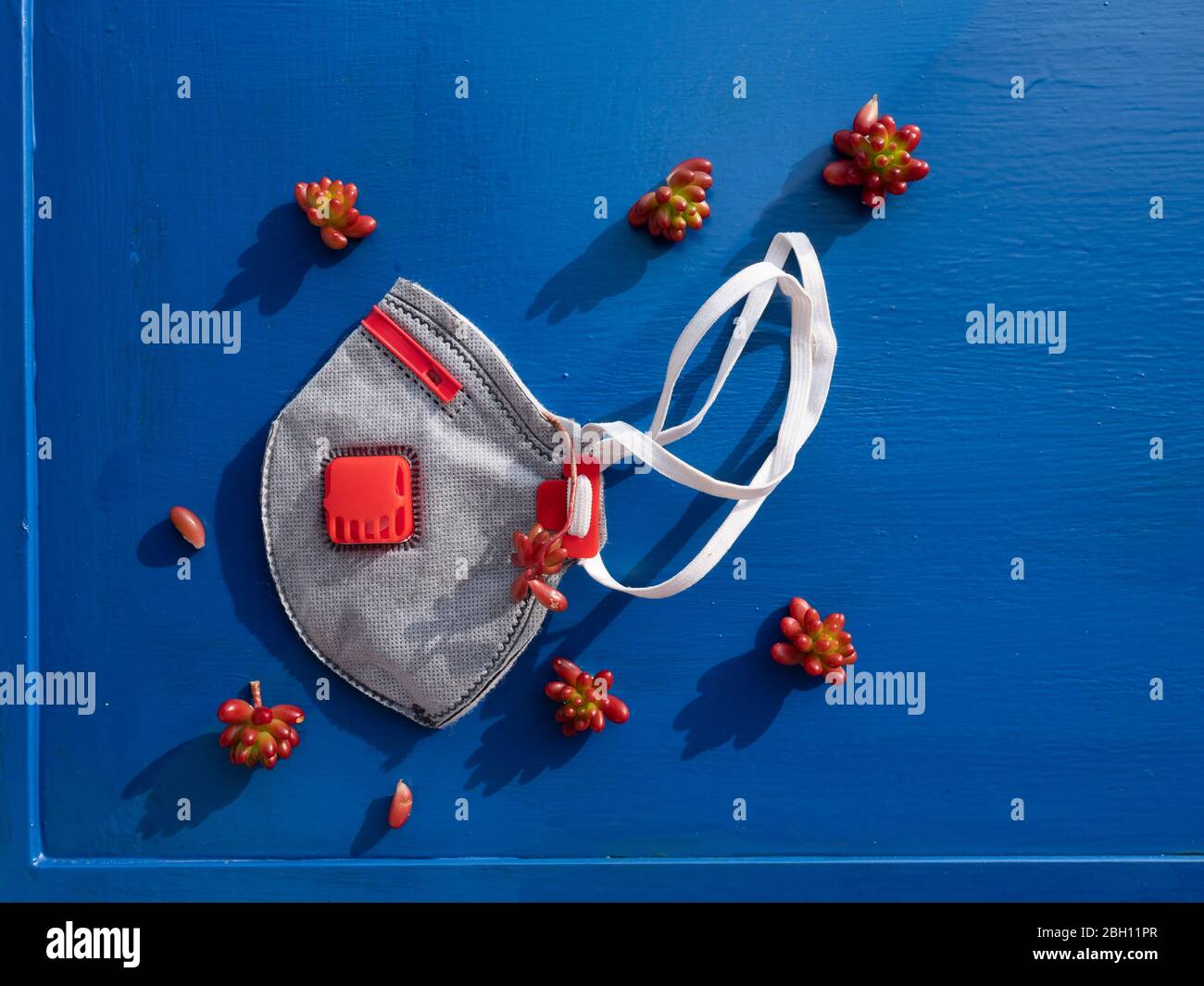 Composition with flowers and N95 face mask Stock Photo - Alamy