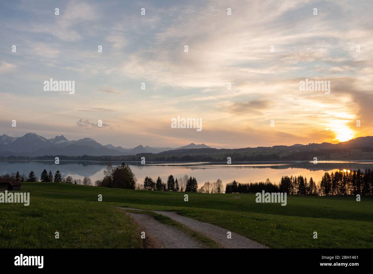 the lake "forggensee" is a reservoir located in south germany. Scenic ...