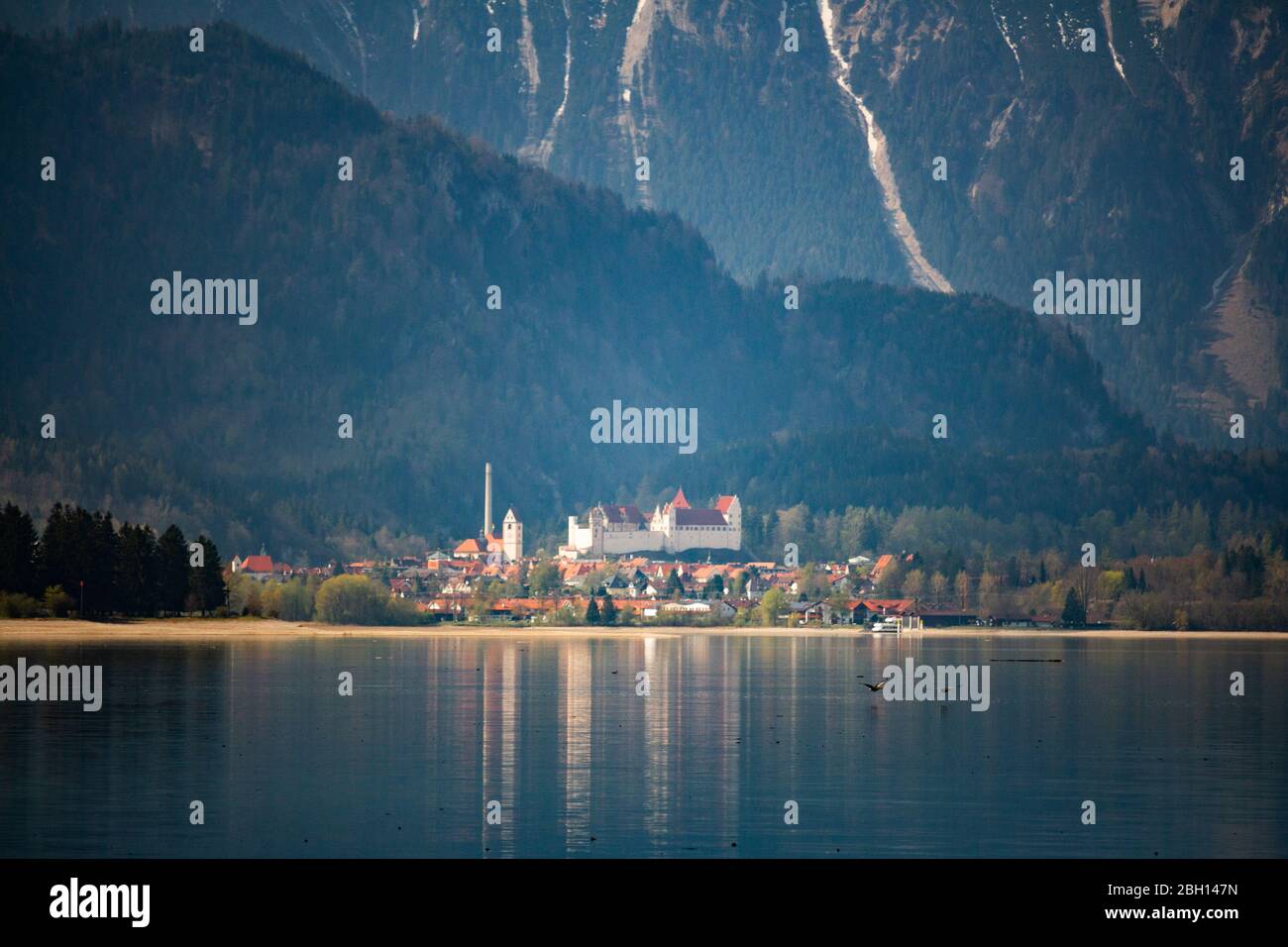 Forggensee and allgau alps hi-res stock photography and images - Alamy