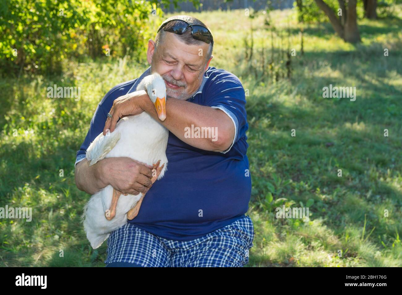 Outdoor portrait of sweet friends - cute white goose on the hands of ...