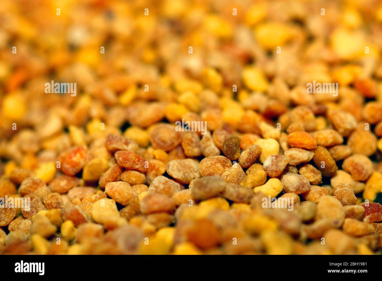 Bee bread pollen hi-res stock photography and images - Alamy