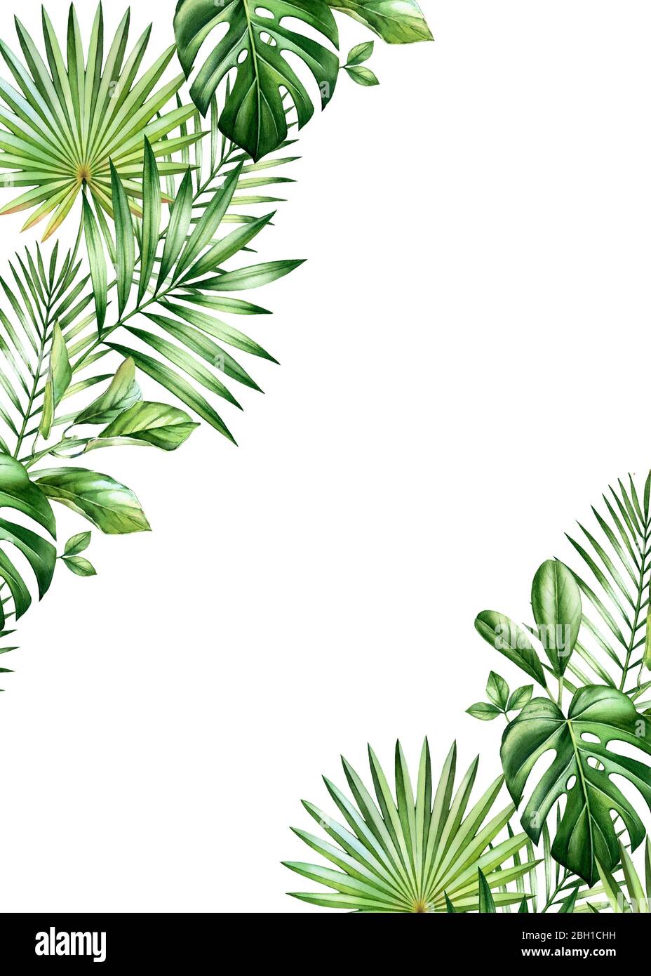 Tropical Watercolor Leaves Border Corner Palm Tropical Summer Vector