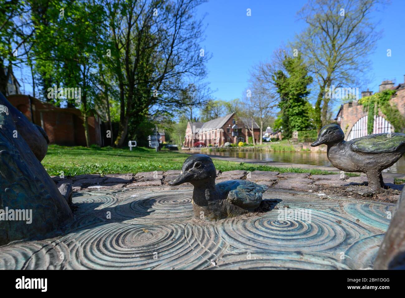 Worsley Ducks, Worsley, Manchester Stock Photo - Alamy