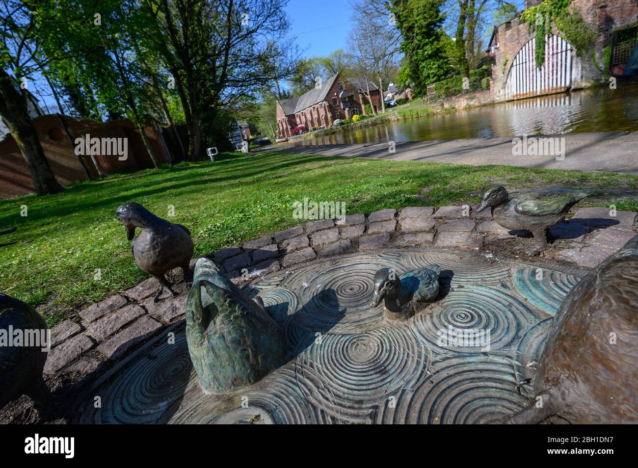 Worsley Ducks, Worsley, Manchester Stock Photo - Alamy