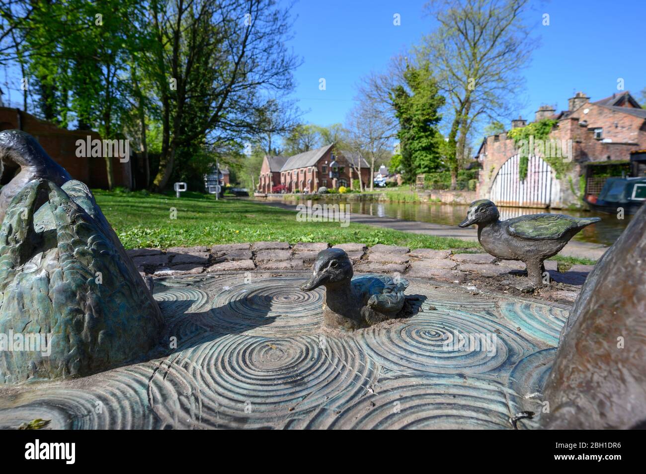 Worsley Ducks, Worsley, Manchester Stock Photo - Alamy