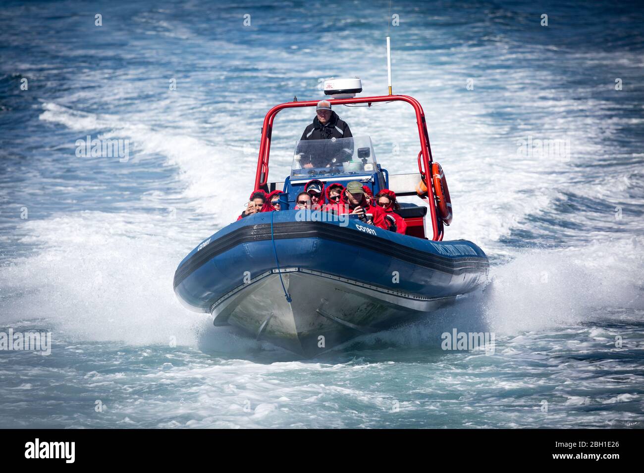 Speedboat speeding through the ocean in Victoria, Canada Stock Photo ...