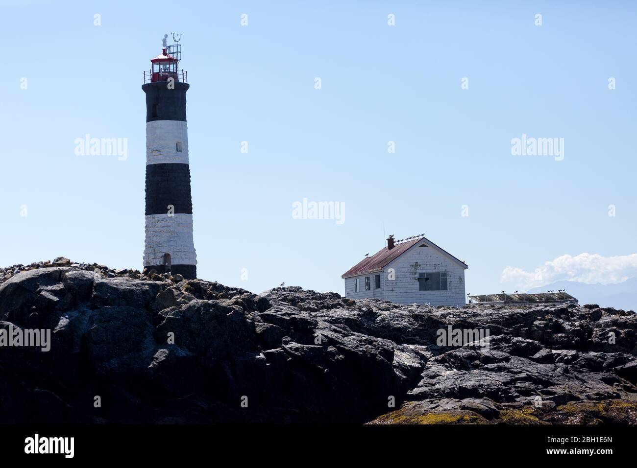 Lighthouse in Victoria,BC,Canada Stock Photo - Alamy