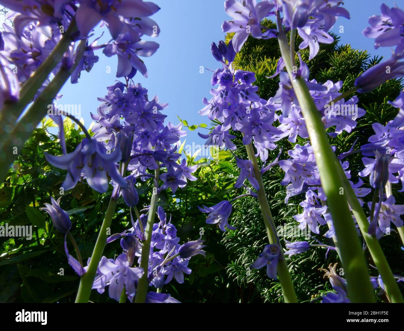 Sky garden from below hi-res stock photography and images - Alamy