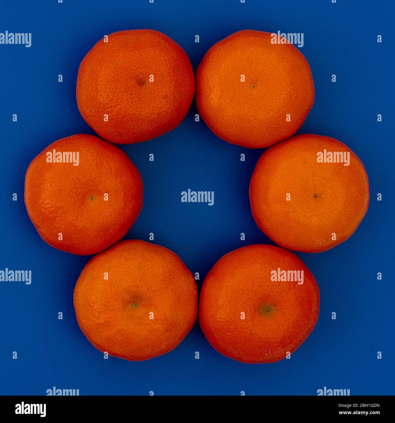 Clementine pattern seen from above against a blue background Stock ...