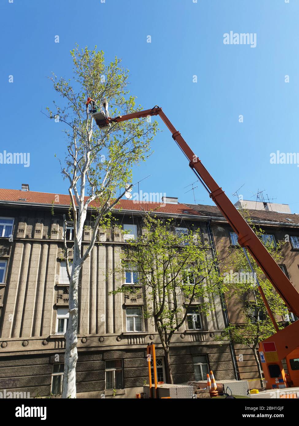 Trimming tree lift arm hi-res stock photography and images - Alamy