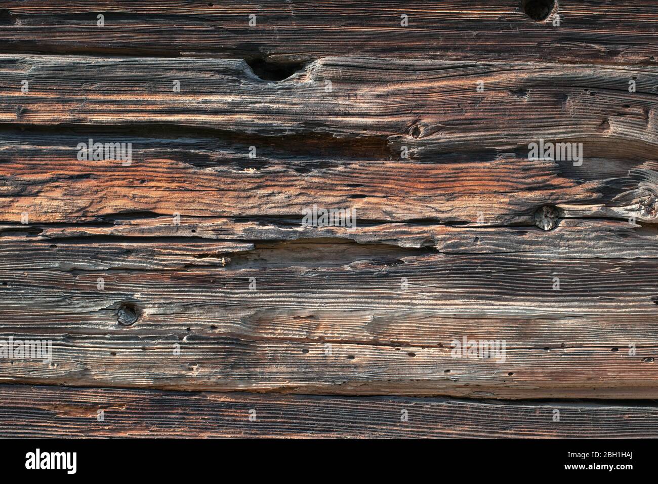 Old eroded wood texture. Old wood natural pattern. Aged brown wood ...