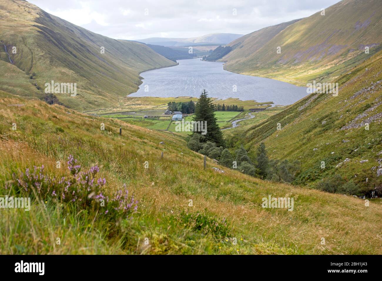 A view of Talla Reservoir from the top of the pass, Southern Uplands ...