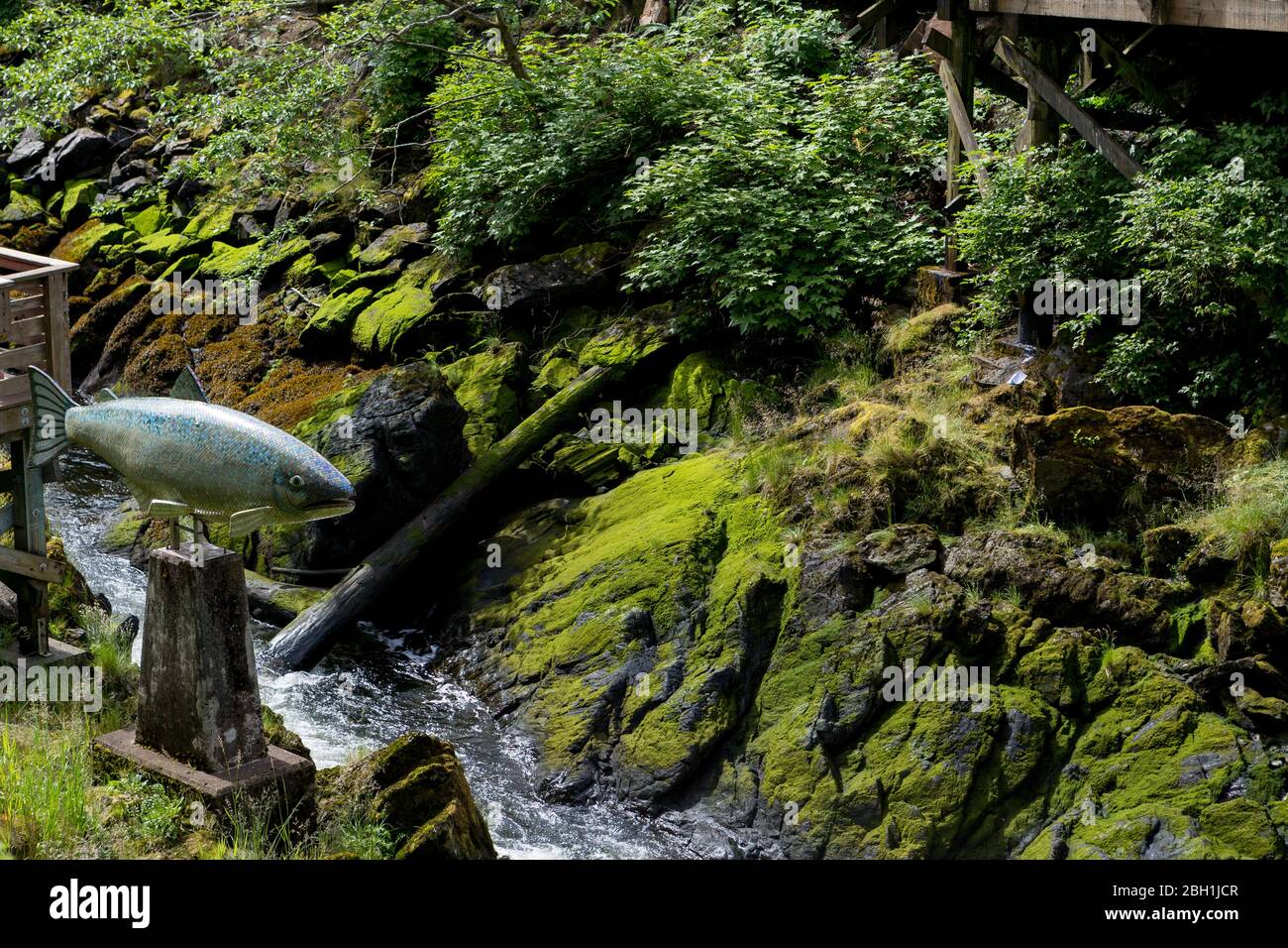 Giant Salmon statue overlooking a fast flowing river Stock Photo - Alamy