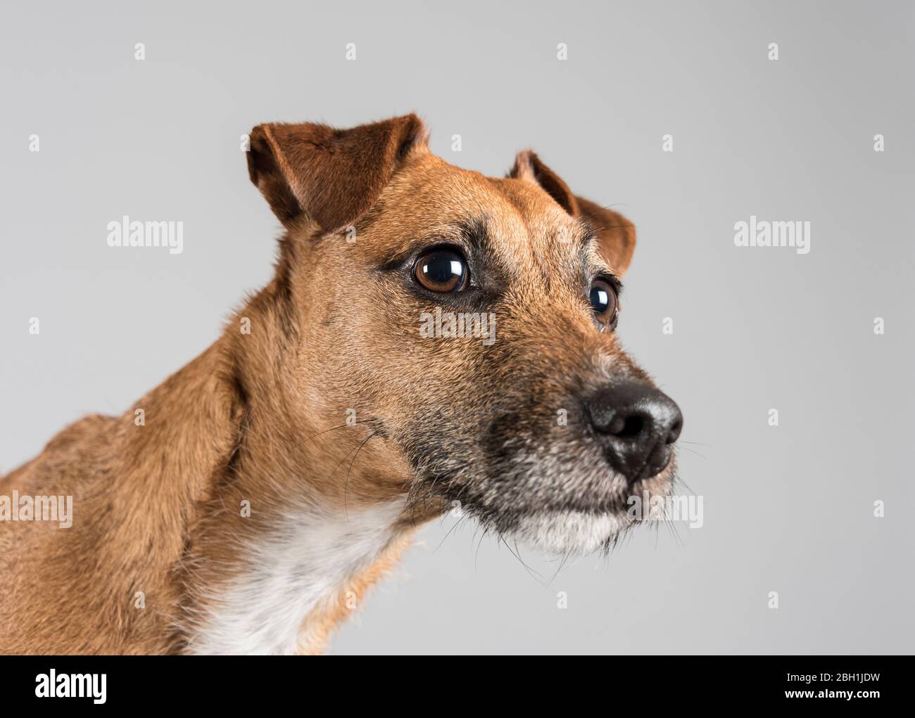 Weird faces hi-res stock photography and images - Alamy