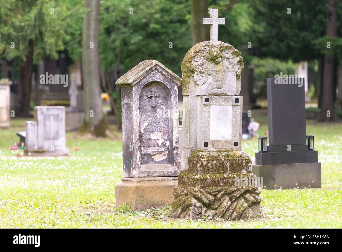 Moss covered tomb stone hi-res stock photography and images - Alamy