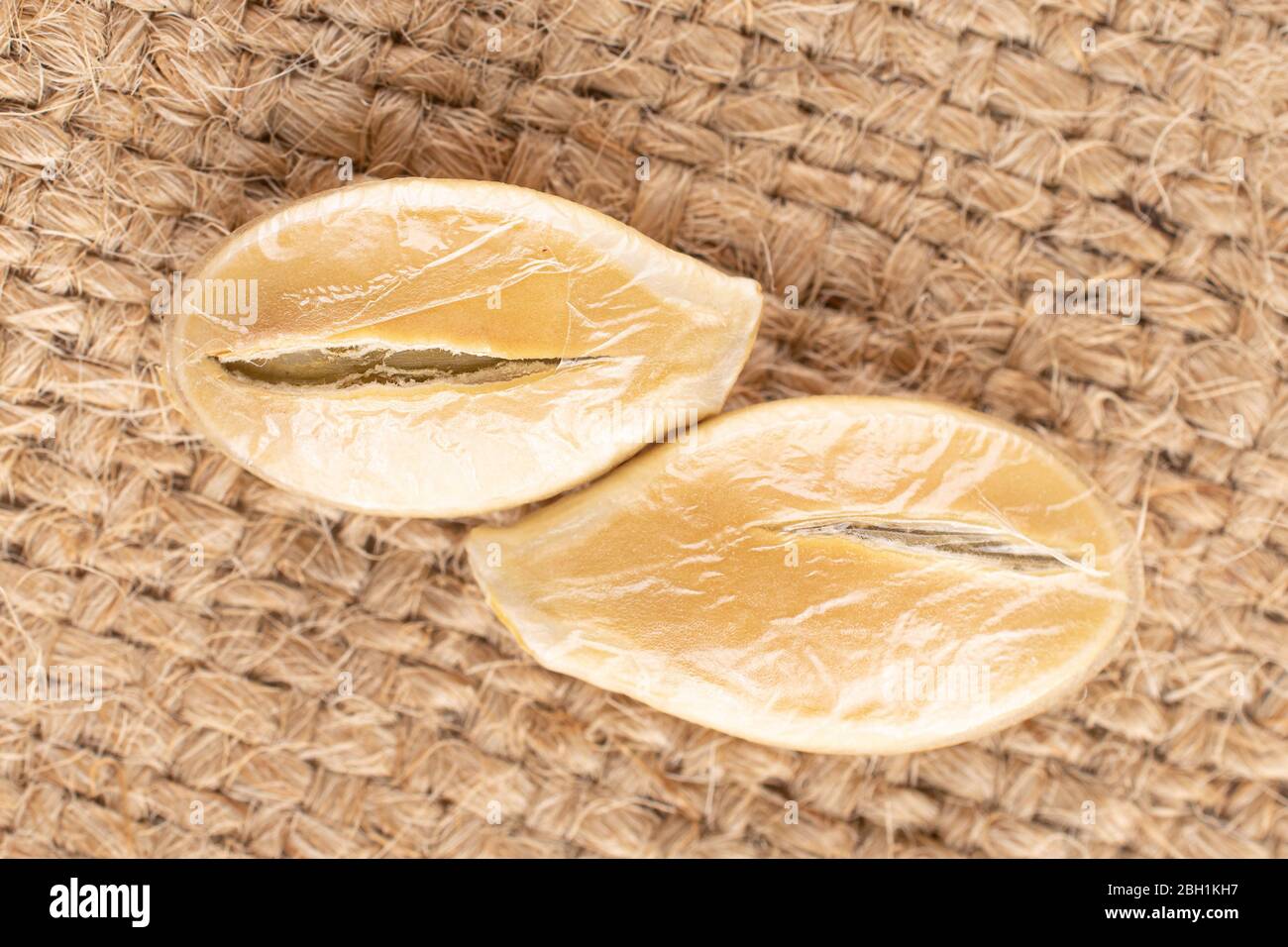 Group of two whole golden pumpkin seed on jute cloth Stock Photo - Alamy