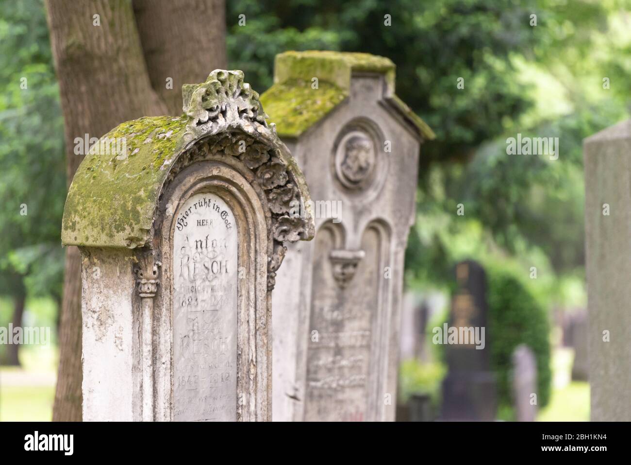 Moss covered tomb stone hi-res stock photography and images - Alamy