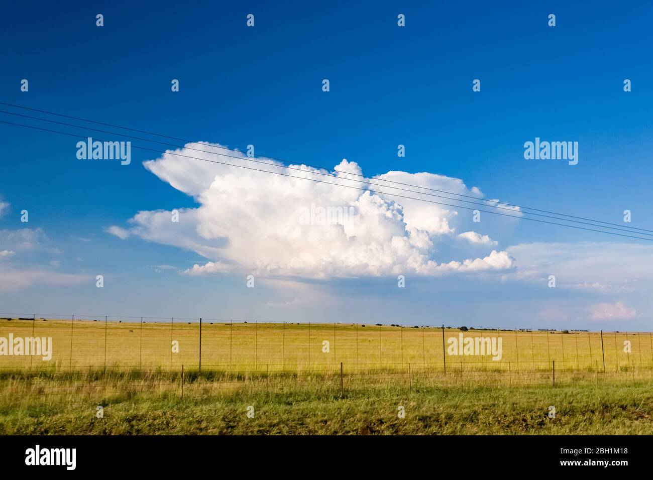 Highveld grassland hi-res stock photography and images - Alamy