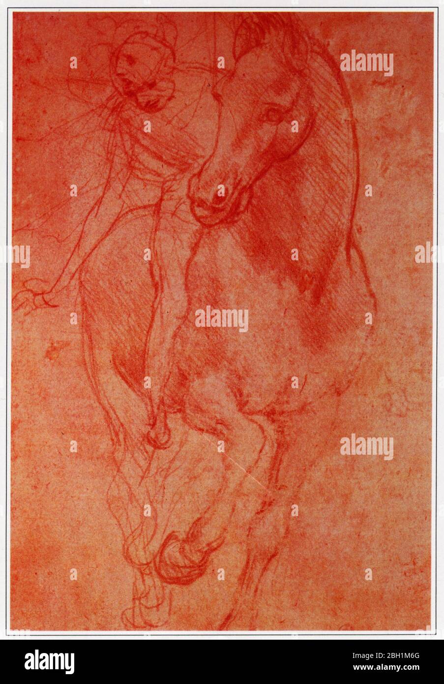 Drawing by da vinci hi-res stock photography and images - Alamy