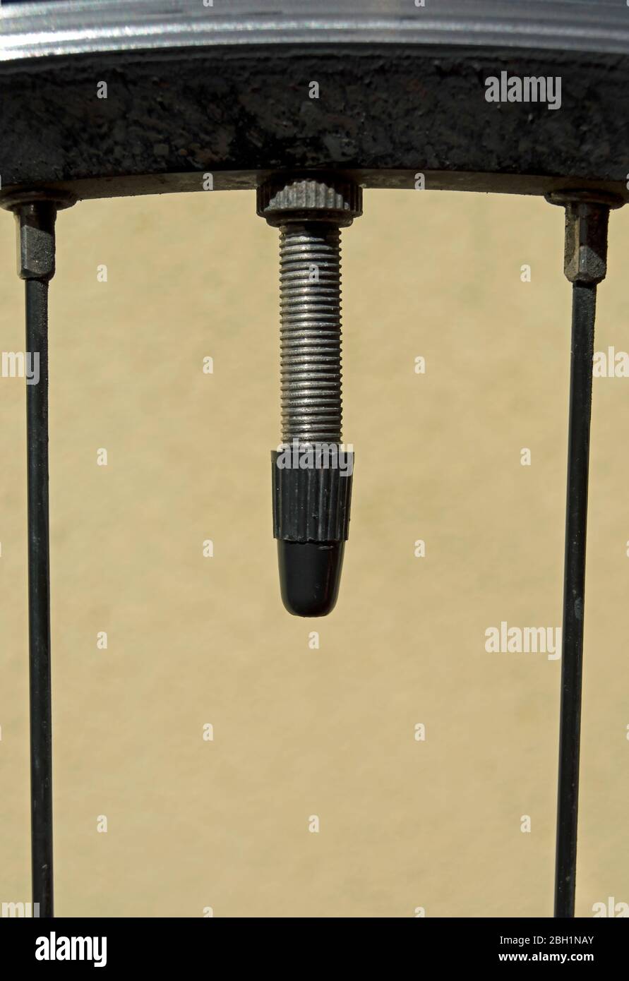 presta valve, with dust cap and stem collar, on the wheel of a bicycle ...