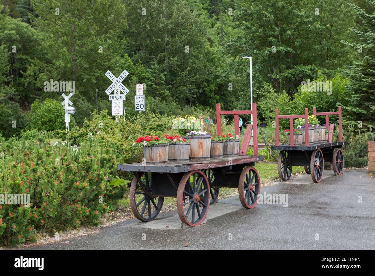 two wooden carts with barrels of flowers and plants, railroad crossing ...