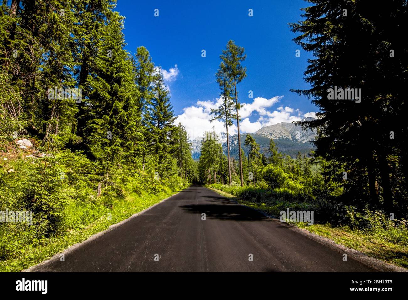Mountain road in High Tatras. Slovakia mountains Stock Photo - Alamy