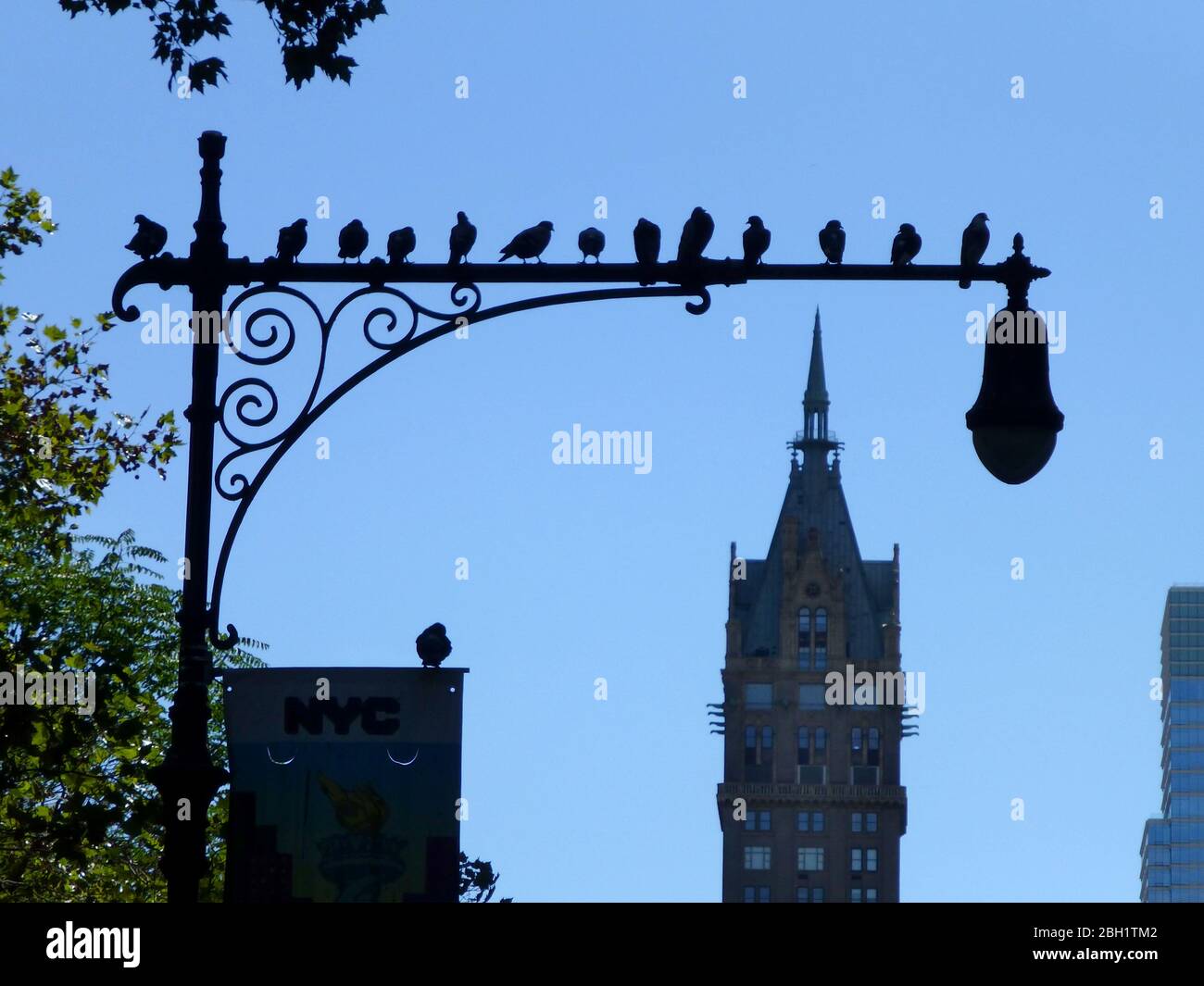 Old lamp post new york hi-res stock photography and images - Alamy