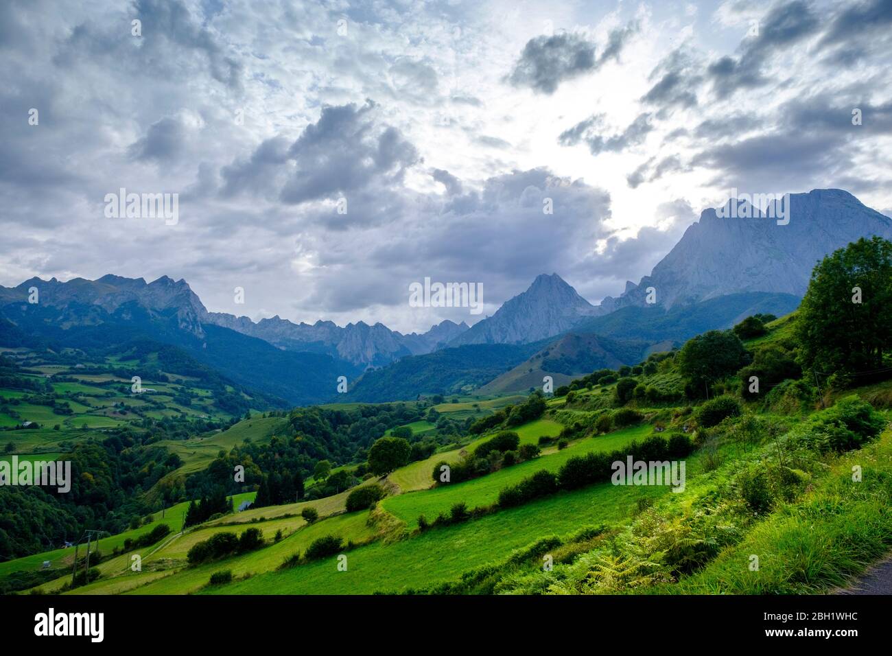 Aspe hi-res stock photography and images - Alamy