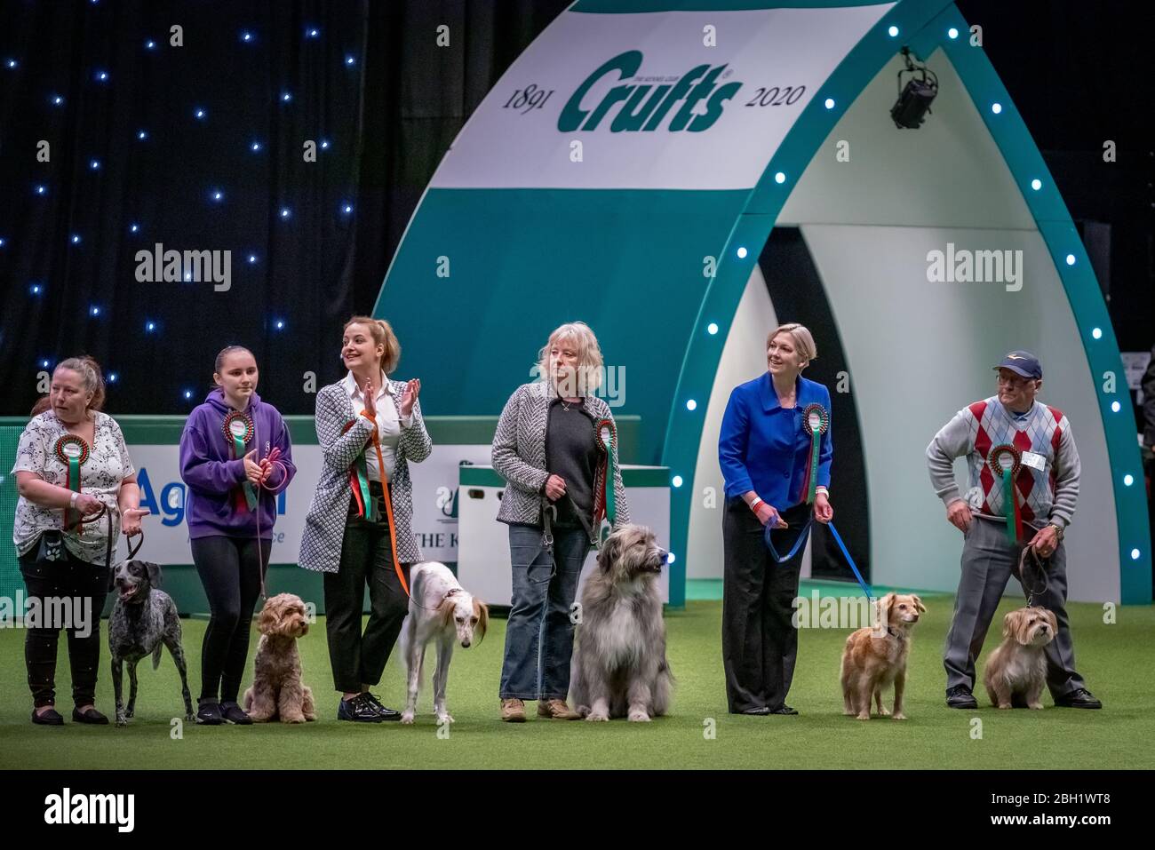 How Many Dogs Compete At Crufts