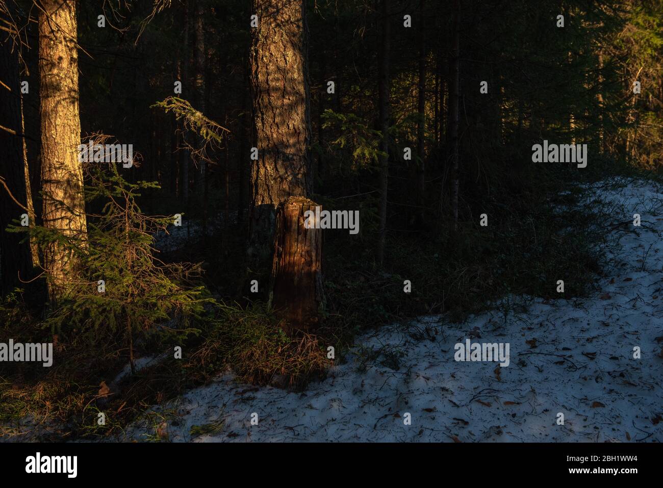 Contrasting shadows creates hi-res stock photography and images - Alamy