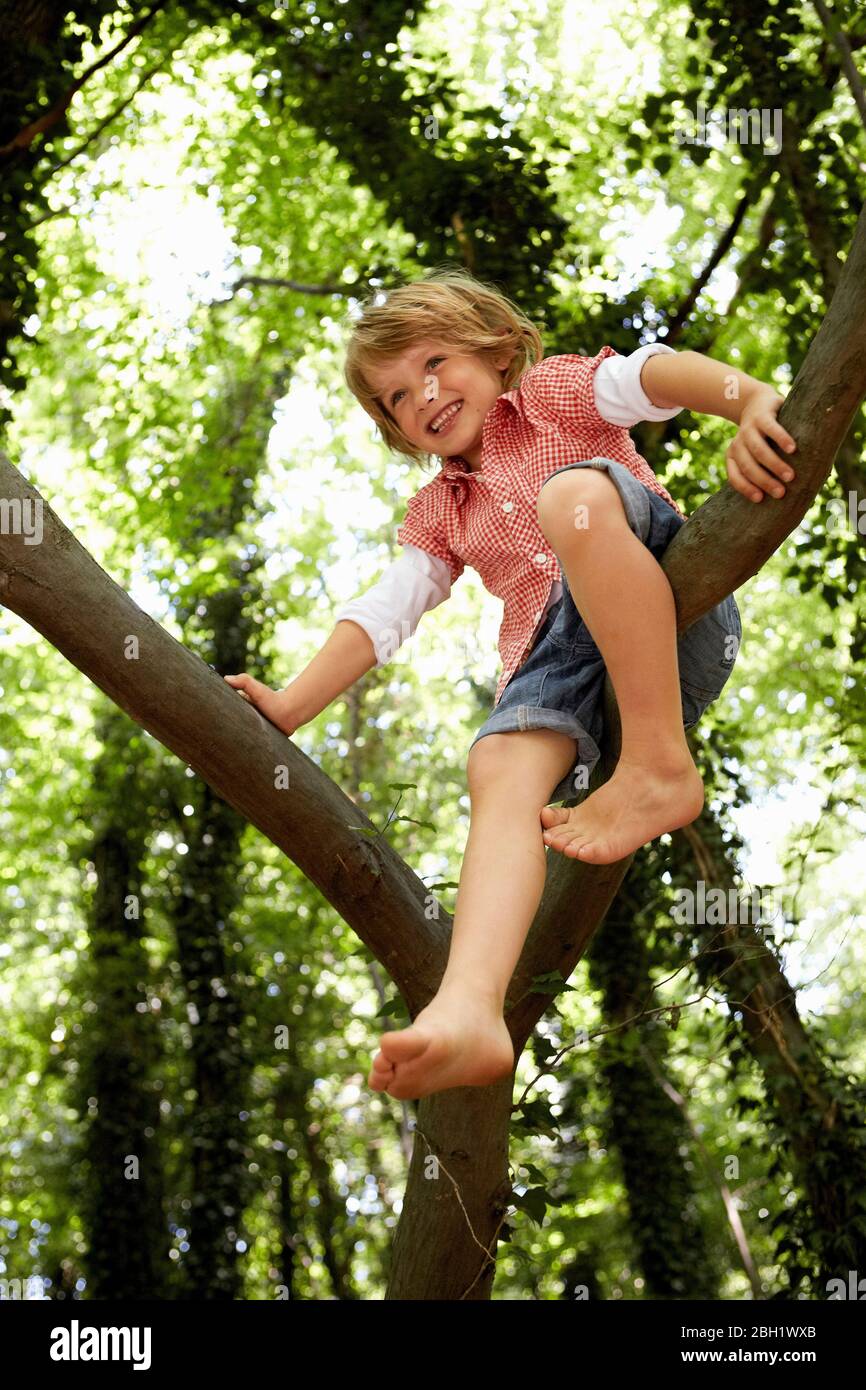 Happy boy climbing tree in forest Stock Photo - Alamy